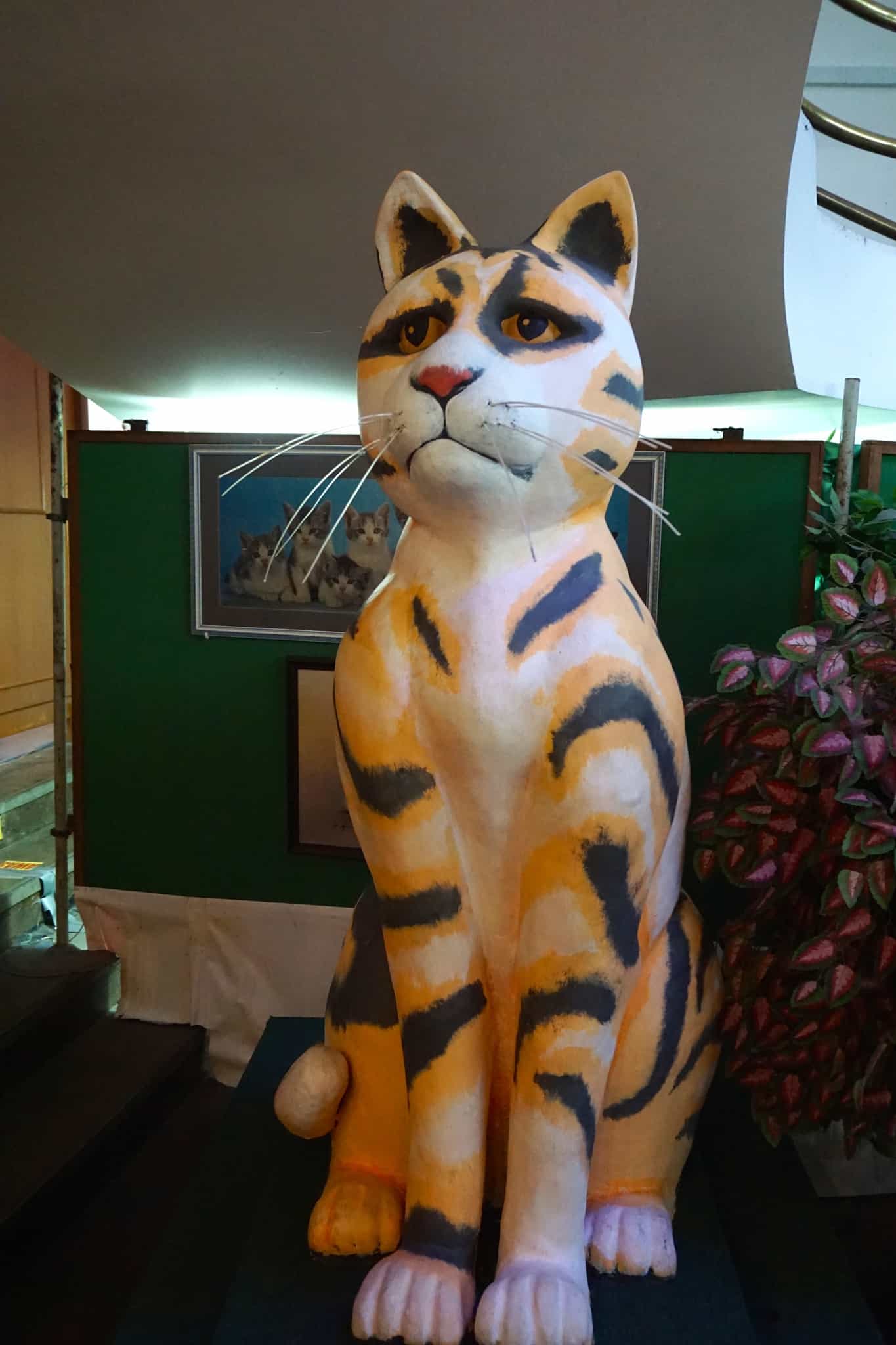 Visiting the World's Largest Cat Museum - Adventurous Pursuits